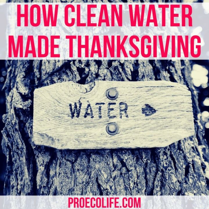 How Clean Water Made Thanksgiving | ProEcoLife
