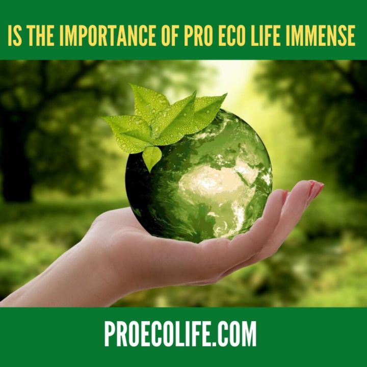 Lead Found In Bartlett Drinking Water | ProEcoLife